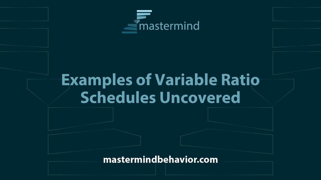 Examples of Variable Ratio Schedules Uncovered
