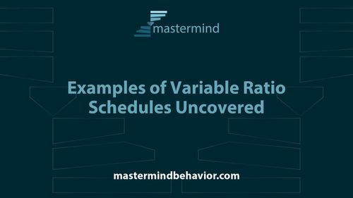 Examples of Variable Ratio Schedules Uncovered