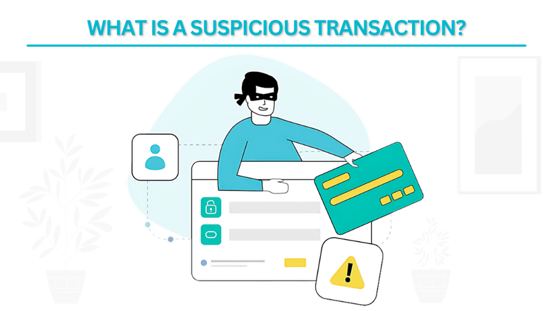 What is a Suspicious Transaction? - Definition & Examples