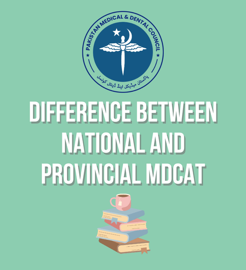 FAST University Programs & Campuses | List of Undergraduate Degrees ...