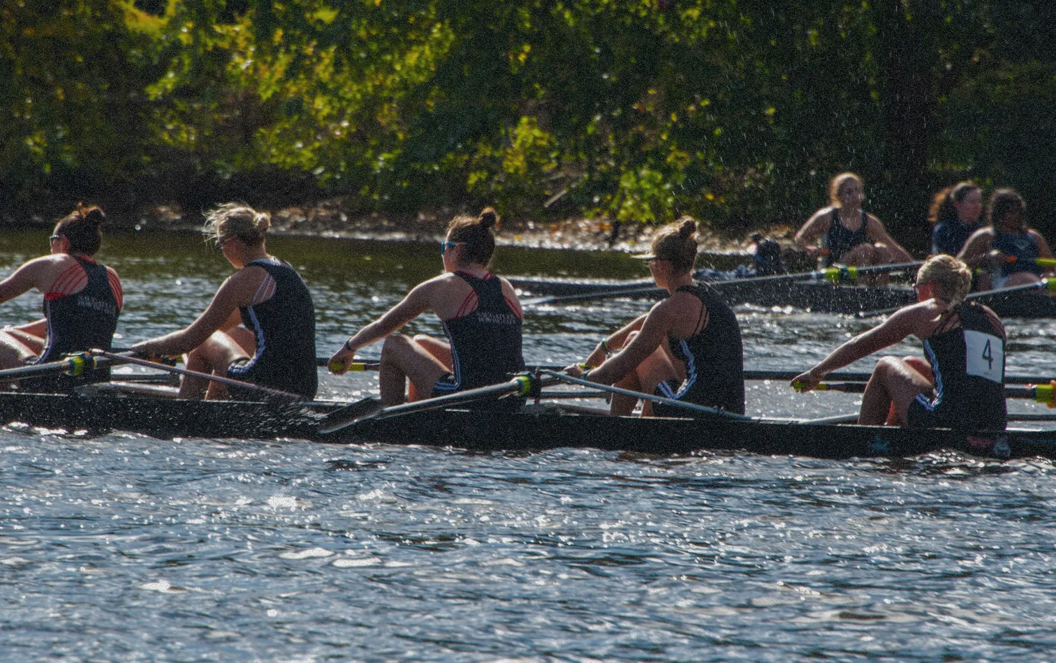 Saugatuck Rowing Club | About Us