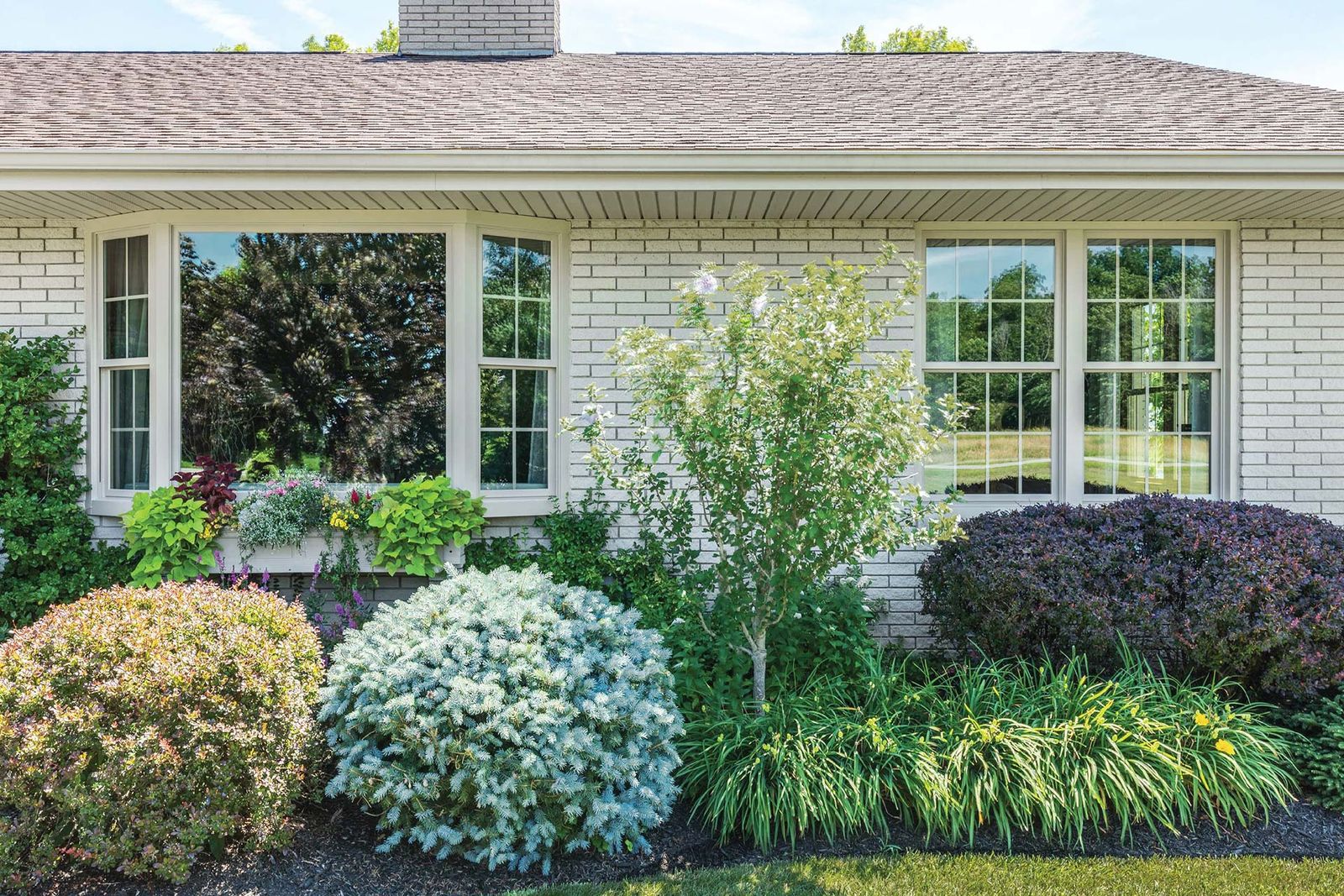 Window Installation & Replacement Services in Louisville