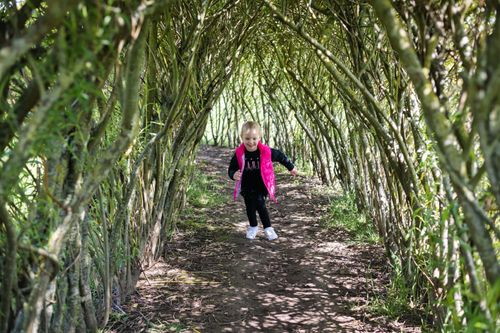 Top Barn Farm Park | Adorable Animals, Coffee Cabin, Parties and Events