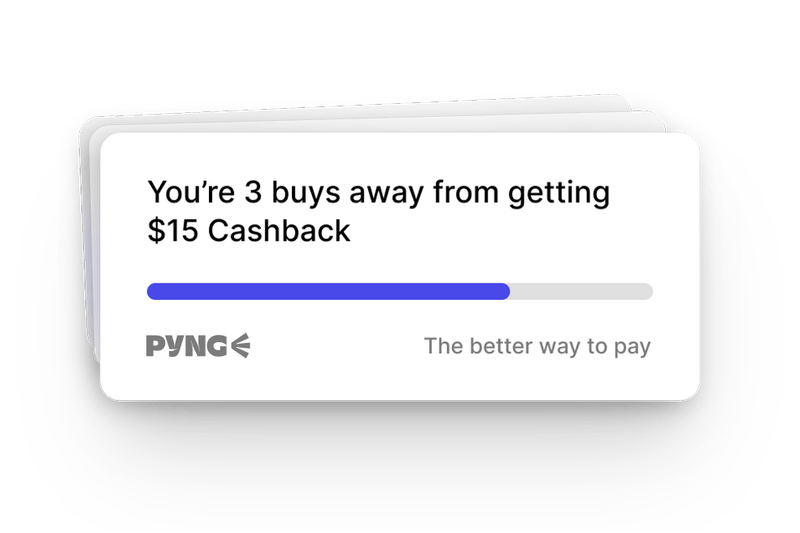 Pyng | Zero cost payments | Never pay a surcharge again