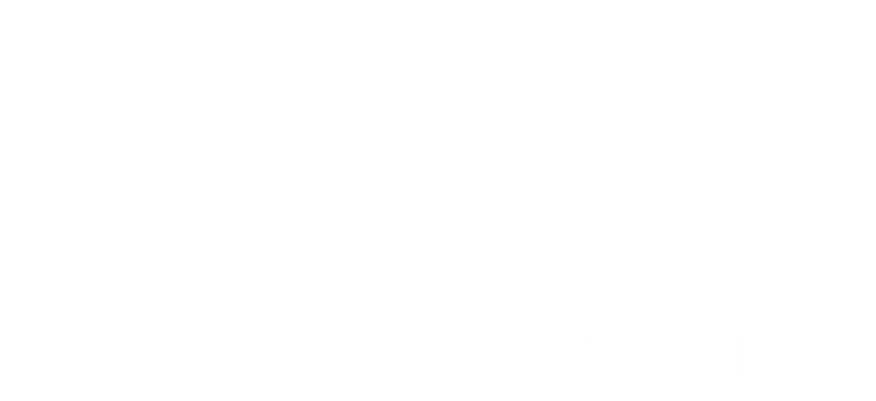 Leadership at the Arora Group