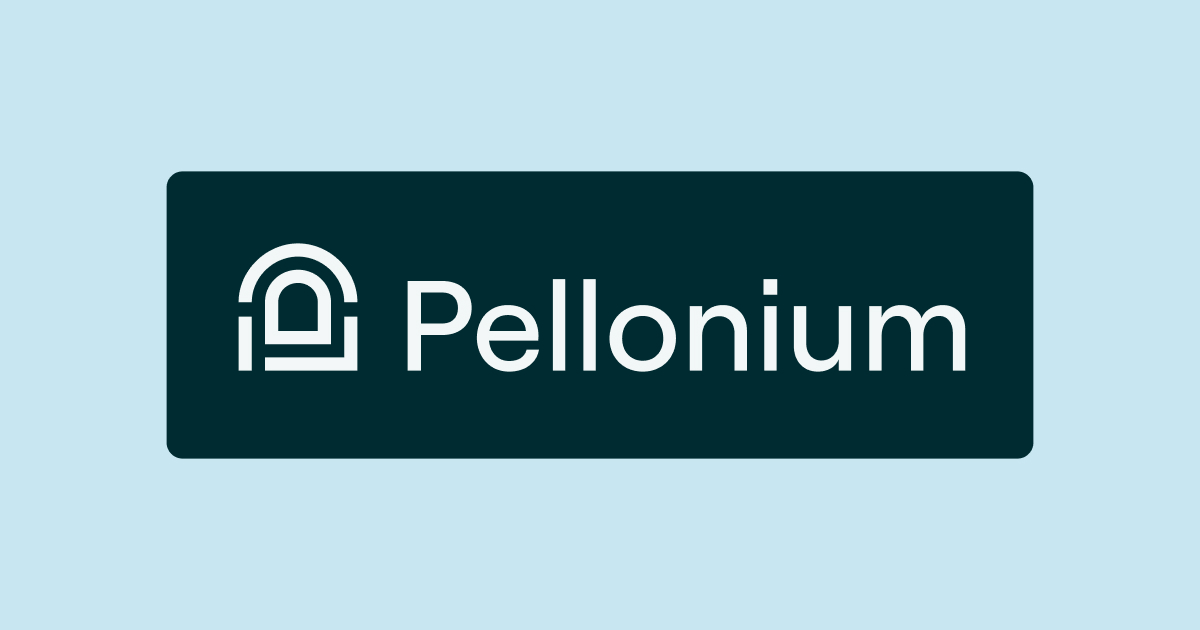 About | Pellonium | Optimize Your Security Environment