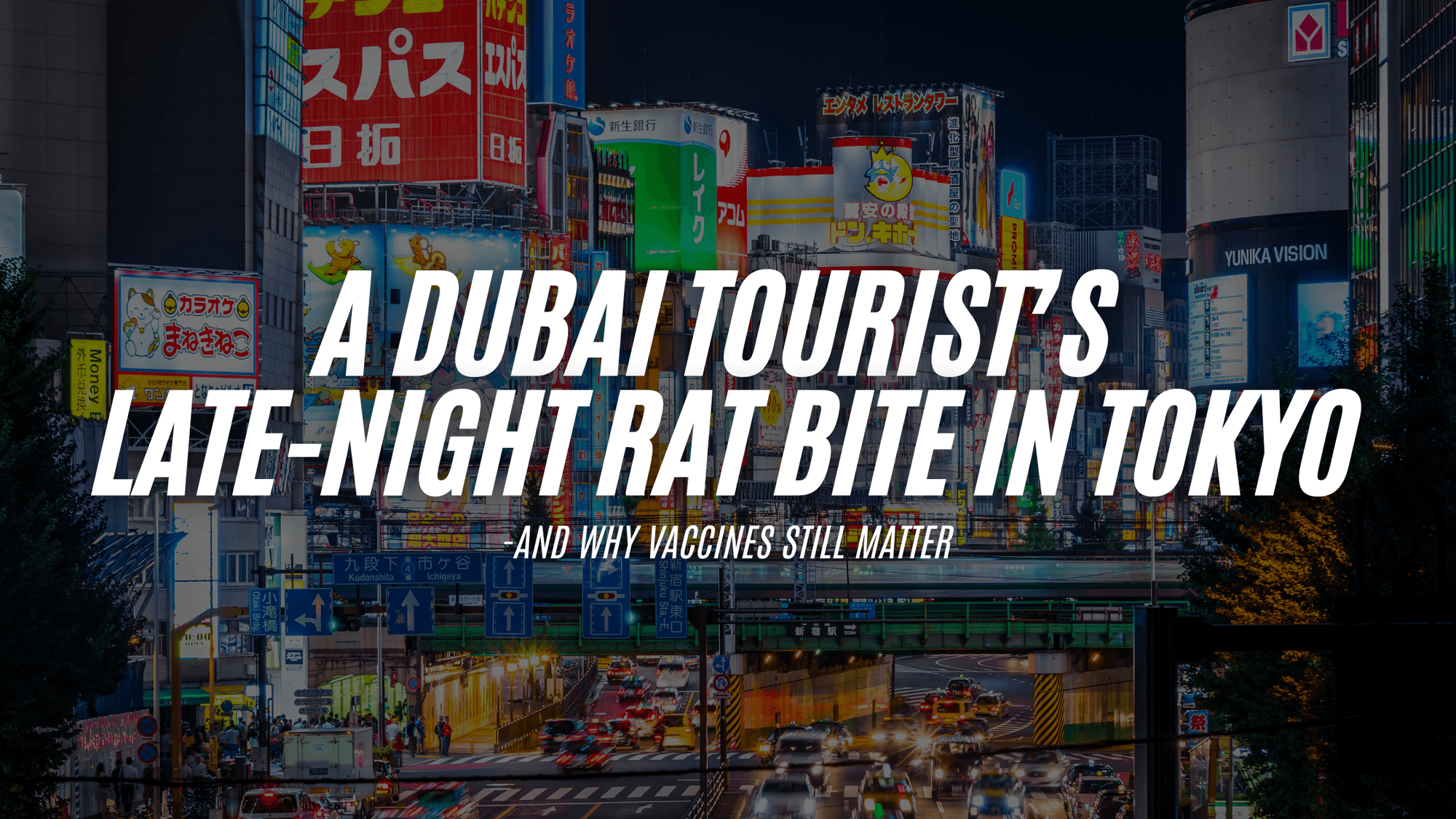 A Dubai Tourist’s Late-Night Rat Bite in Tokyo — and Why Vaccines Still ...