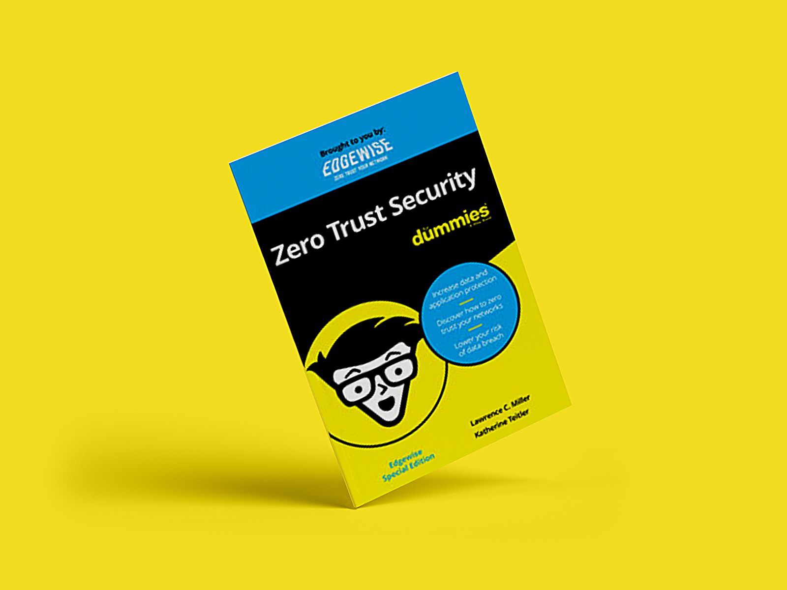 Contact Dummies Custom Solutions