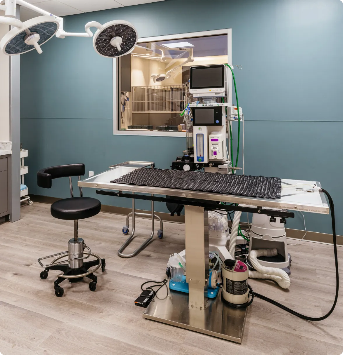 Veterinary Eye Center of Newton