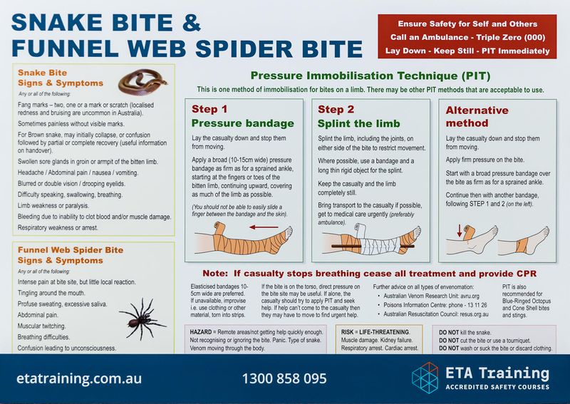 First Aid for Snake Bites: Essential Steps