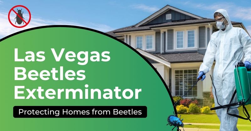 Pest Control & Exterminator Services in Las Vegas, NV | Fortified Pest ...