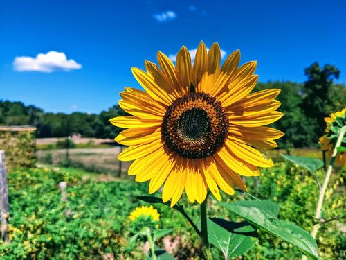 Rolling Ridge Retreat and Conference Center