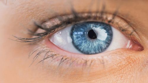 The Coolidge effect: the science of sexual variety