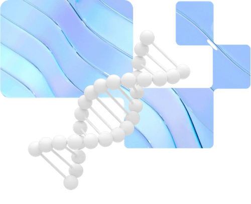 About | Rejuvenation Olympics