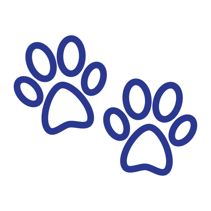 The Best Expert Puppy & Dog Training in San Francisco | SmartyPup!