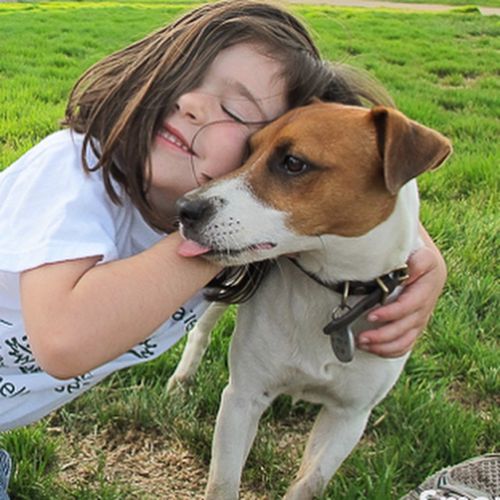 The Best Expert Puppy & Dog Training in San Francisco | SmartyPup!