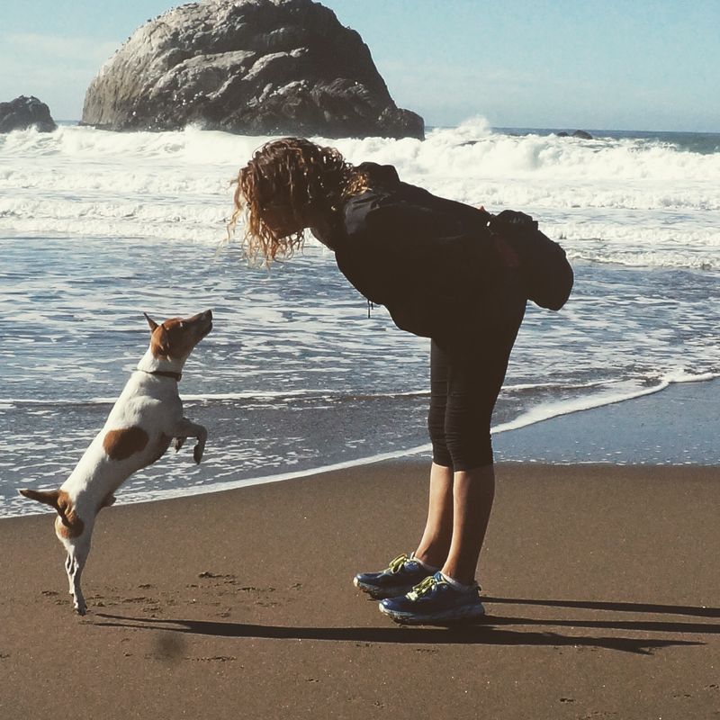 The Best Expert Puppy & Dog Training in San Francisco | SmartyPup!