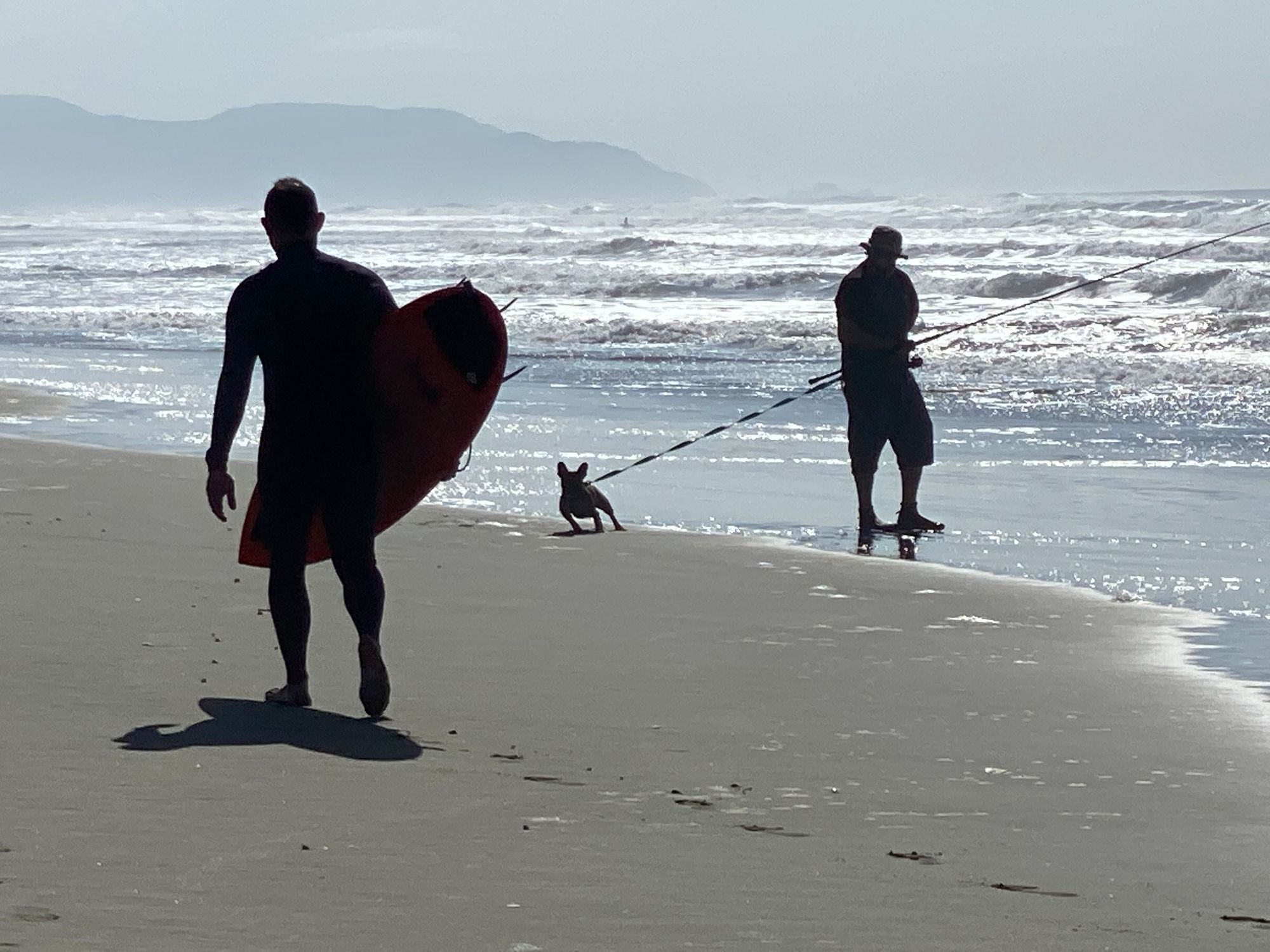 The Best Expert Puppy & Dog Training in San Francisco | SmartyPup!