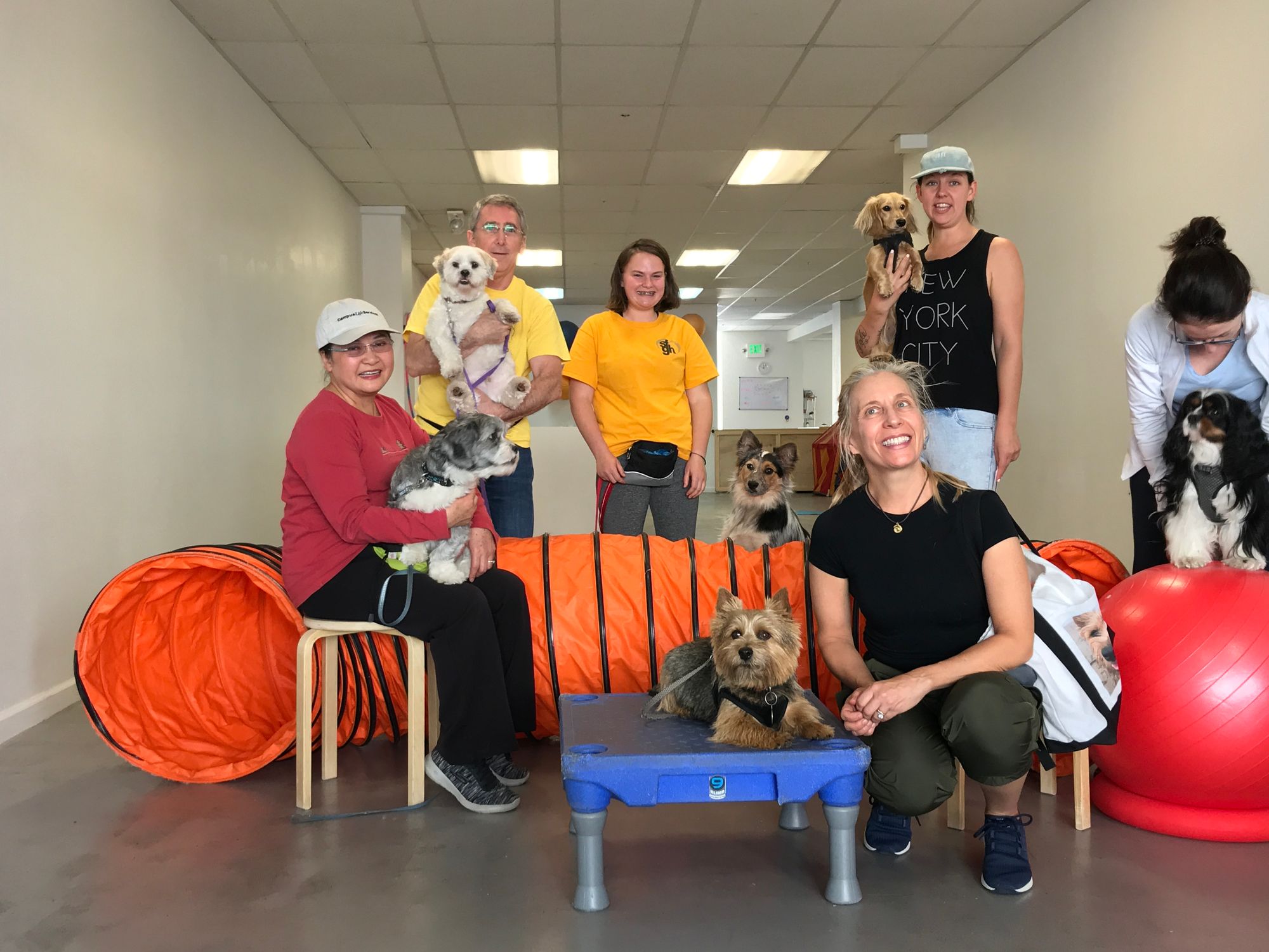 The Best Expert Puppy & Dog Training in San Francisco | SmartyPup!