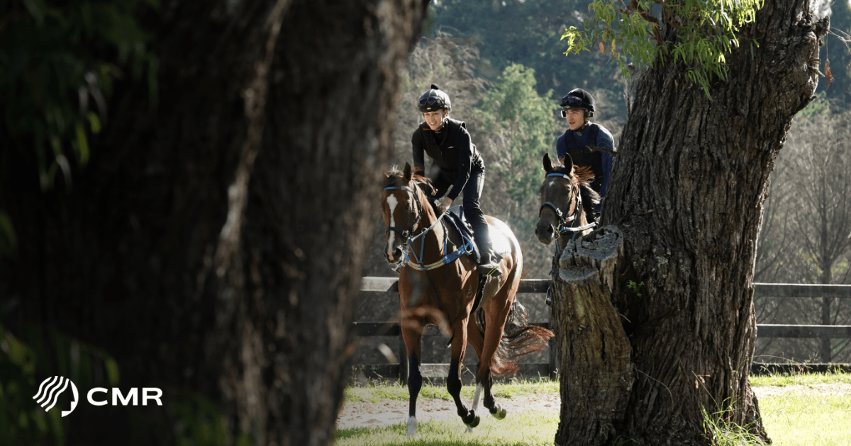 Upcoming Runners | Ciaron Maher Racing