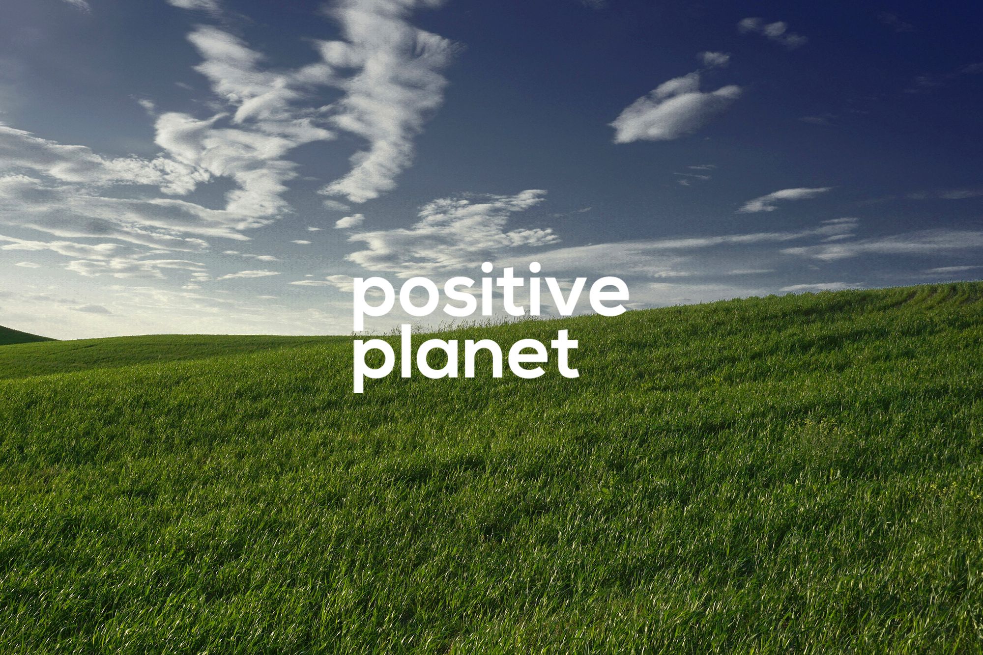 SEPAR International | Operations, Training & Advisory in security and ...