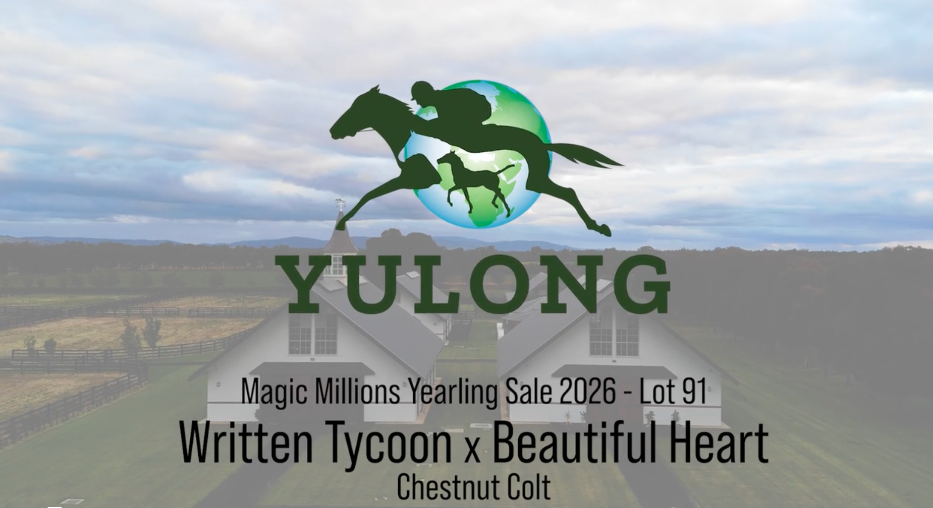Written Tycoon x Beautiful Heart