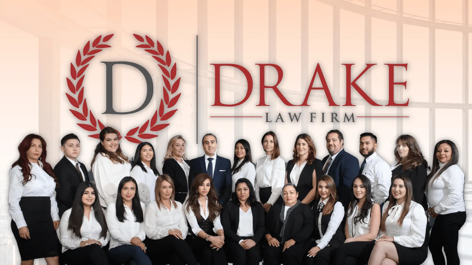 Drake The Lawyer