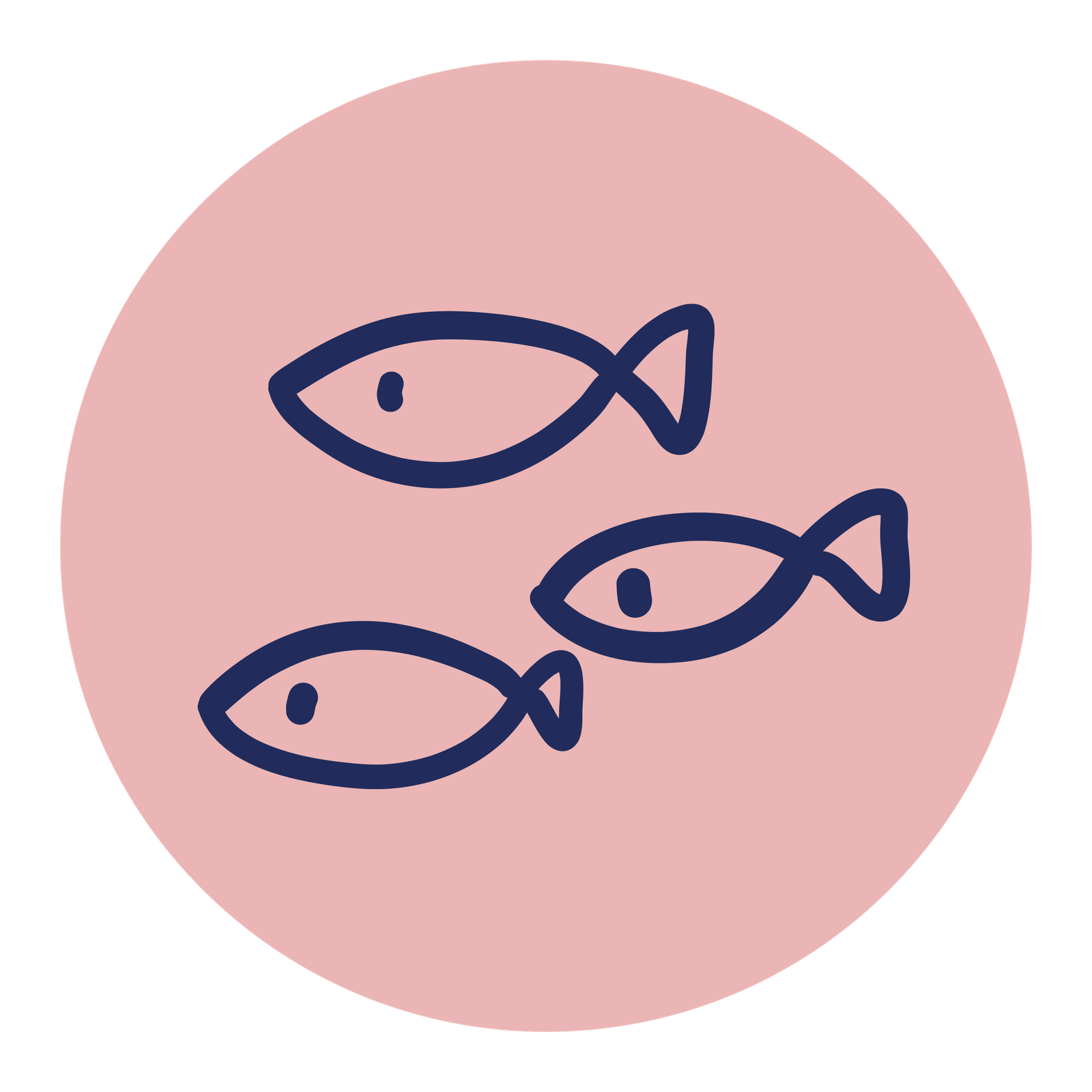 Wonderbook | Read-Along by Playaway Products