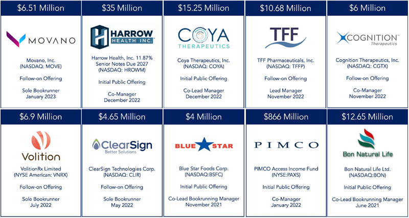 Investment Banking Services - Expert Financial Structuring | Newbridge