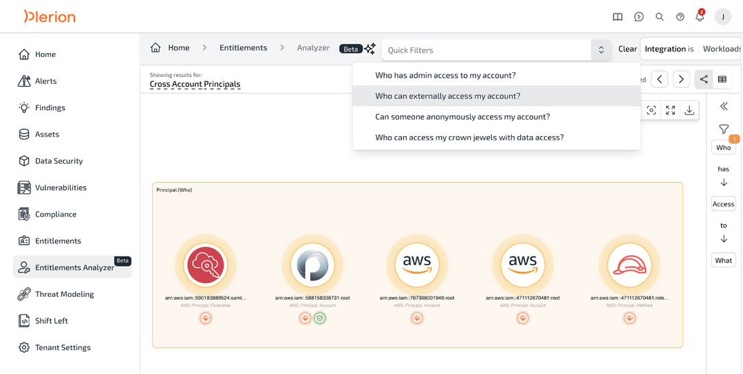 Plerion - Simplify Cloud Security
