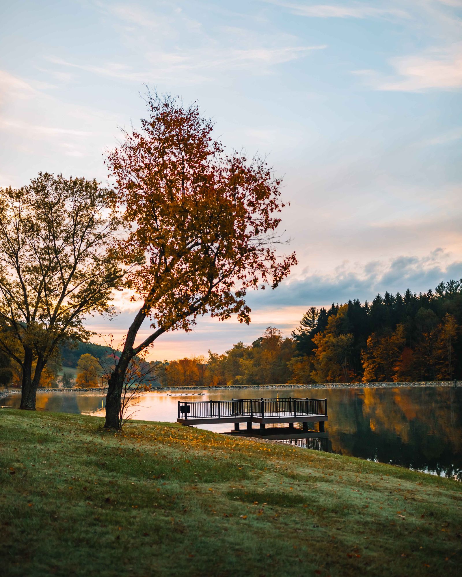 Luxury Vacation Cabins and A-Frames | Paradise Lake