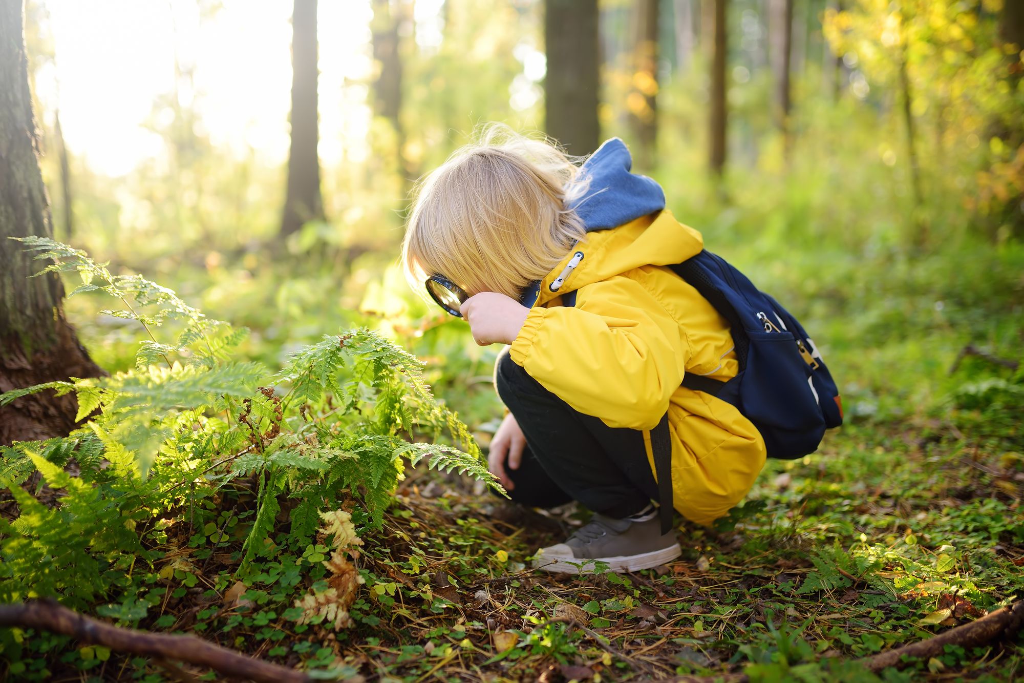 A month by month forager's guide for beginners | Experience Group