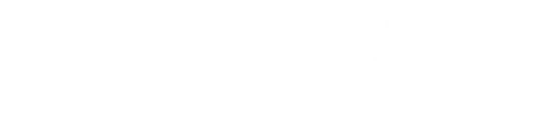 UN Universal Safeguards for Inclusive Digital Public Infrastructure