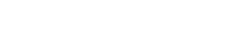 UN Universal Safeguards for Inclusive Digital Public Infrastructure