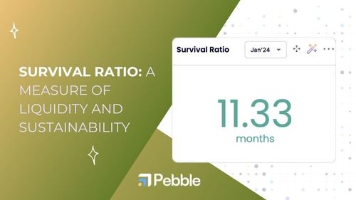AR Turnover Ratio: A Key Nonprofit KPI for Cash Flow Health | Pebble Impact