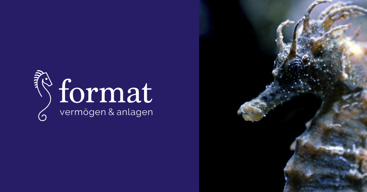 Unsere Auszeichnungen & Erfolge | Format