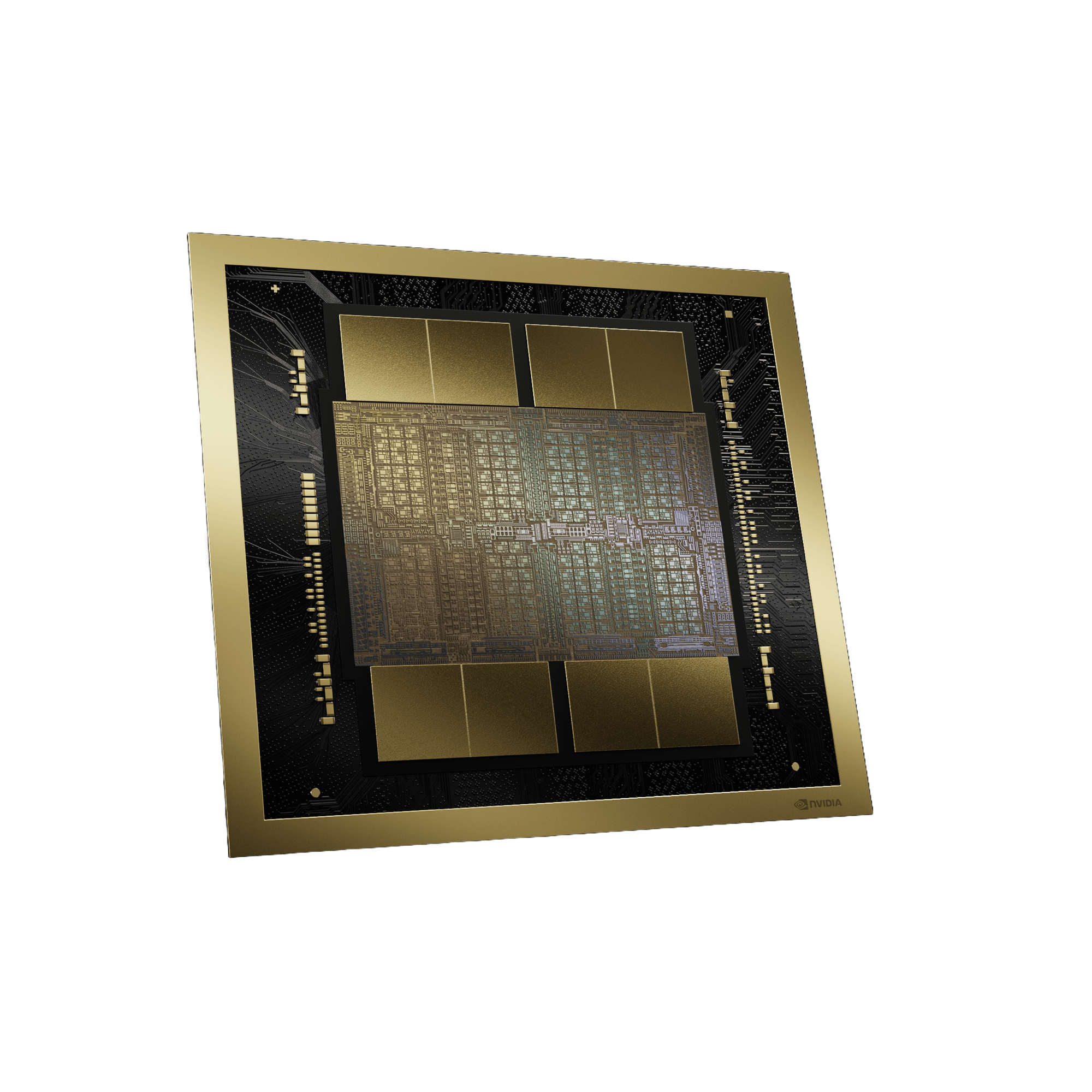 Rent NVIDIA B200 GPUs On-Demand