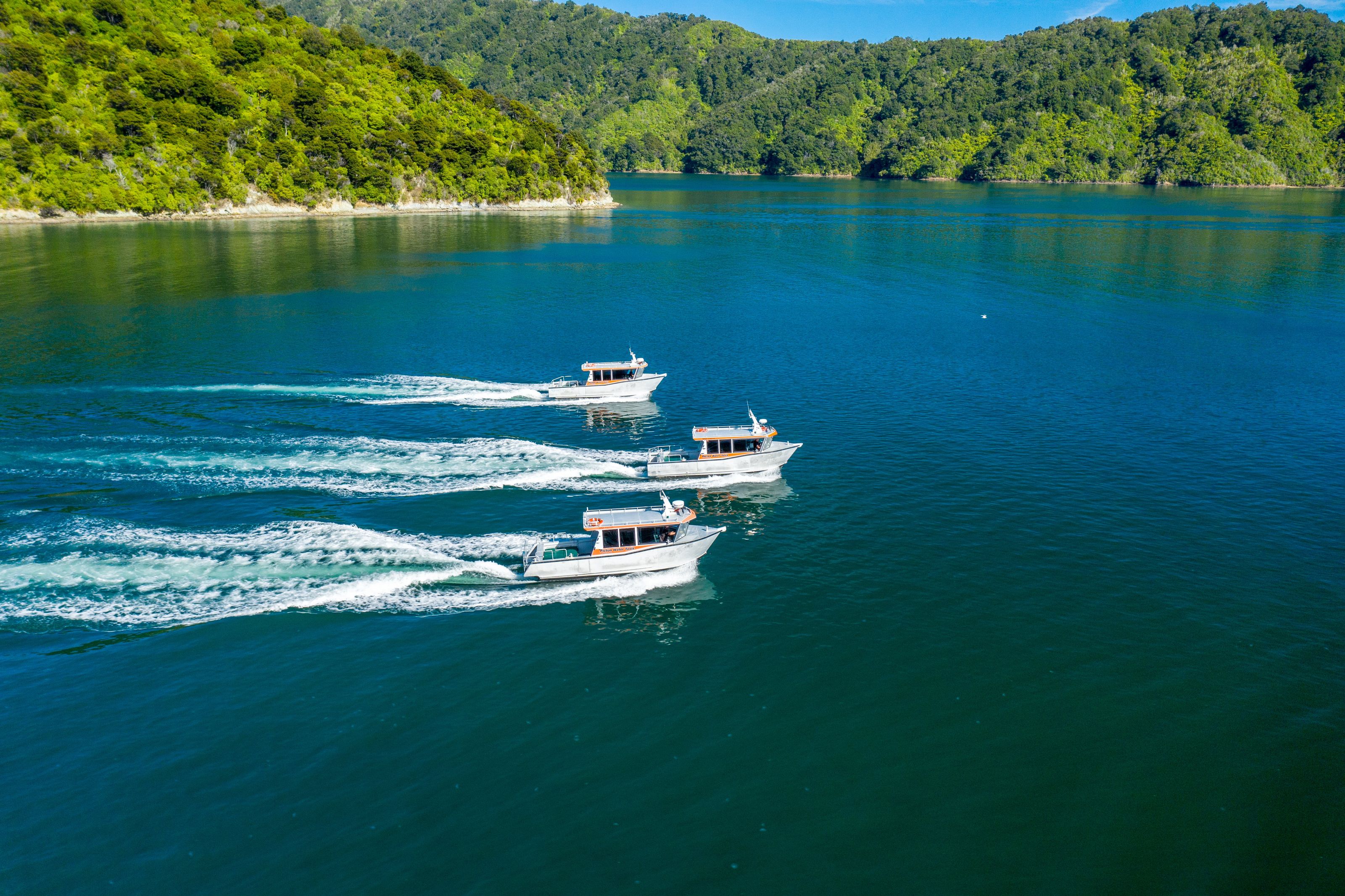 Experience Scenic Cruises in New Zealand | Beachcomber Cruises
