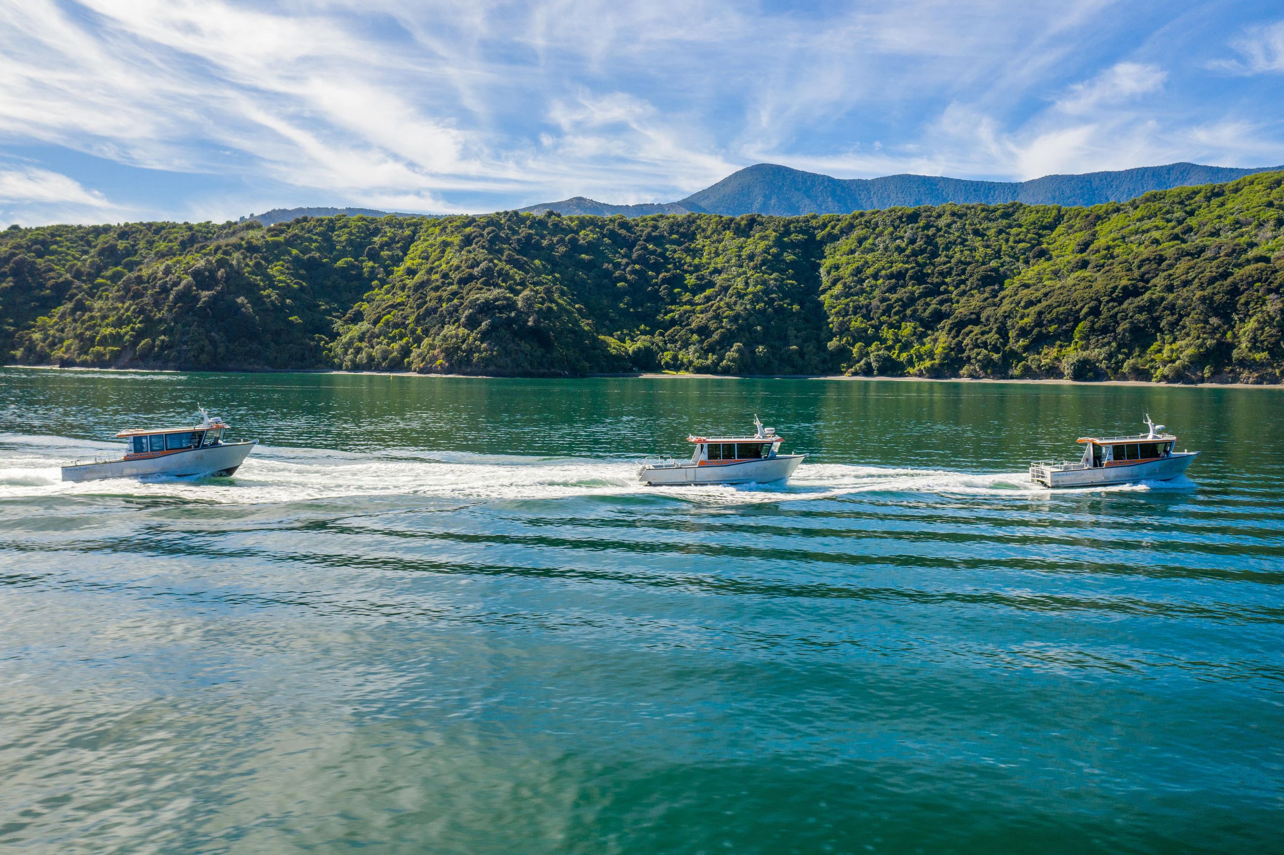 Experience Scenic Cruises in New Zealand | Beachcomber Cruises