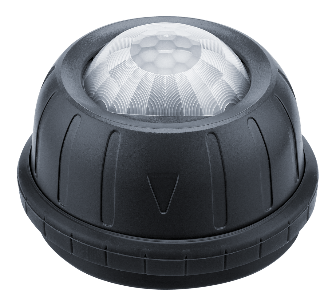 Thorn Sports - Light that captures moments