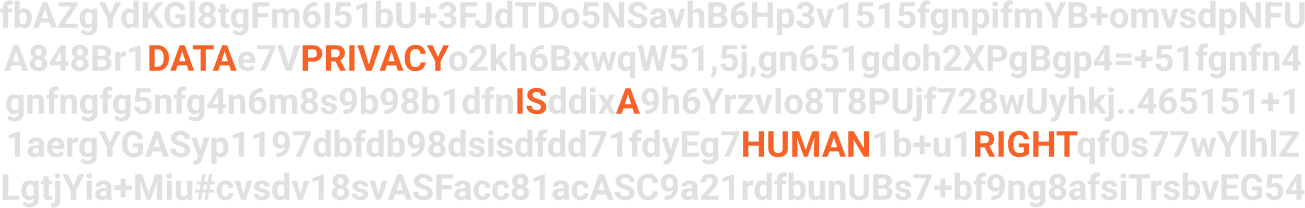 Data-In-Use Encryption - Vaultree