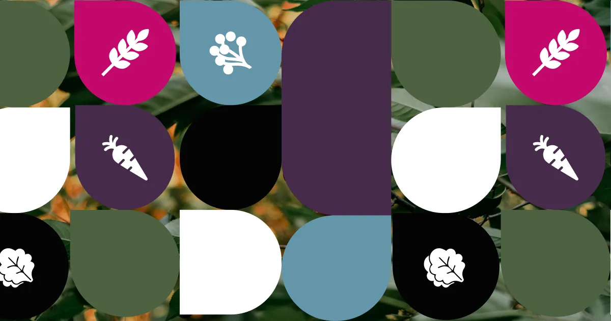 Yukon Food Security Network | Our Food in Place