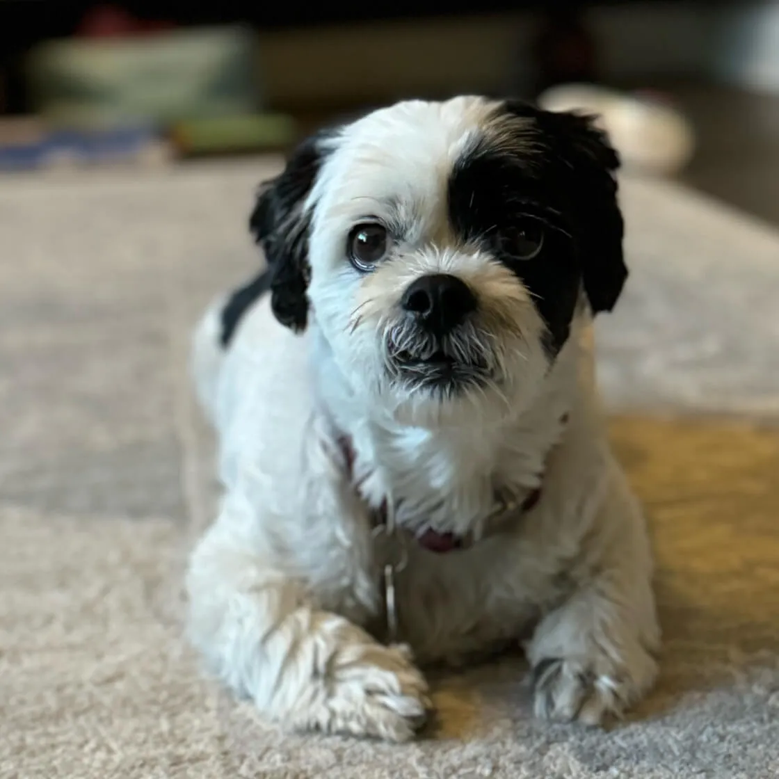 Dr. Neeti Alapati, MD | Glaucoma and Eye Care Specialist