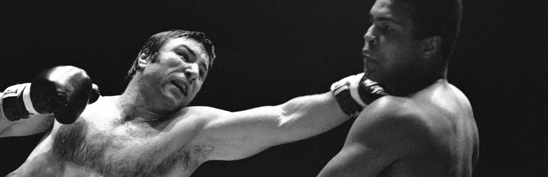 Canada’s Top Heavyweights: Champions, Legends, Icons