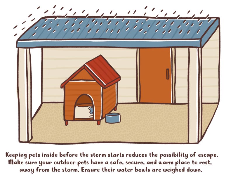 Keep your pets safe during storm season - Guides | Big Dog Pet Foods