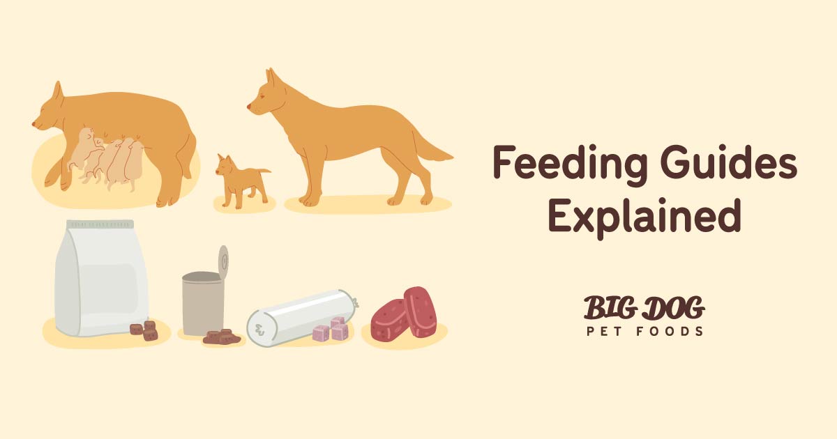 Feeding Guides Explained - Guides | Big Dog Pet Foods