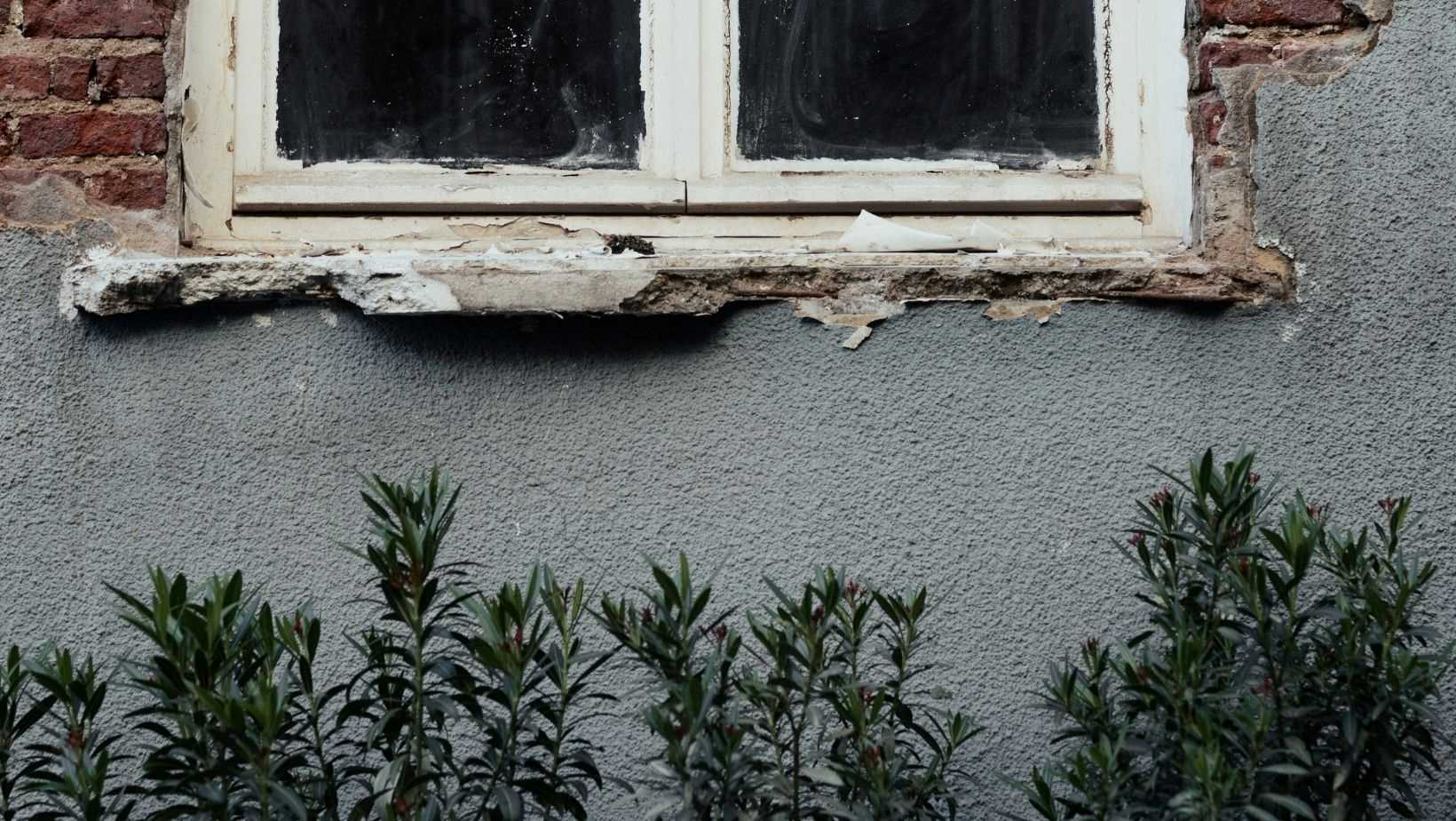 Exterior Plaster Problems? Call a Plasterer Auckland West & Sons ...
