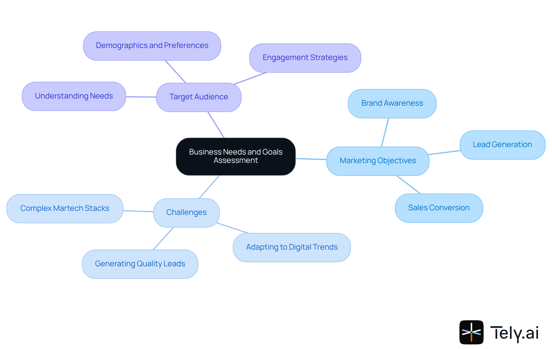 The central node represents the overall assessment, with branches showing different areas of focus. Each branch helps clarify what to consider when defining your business objectives.