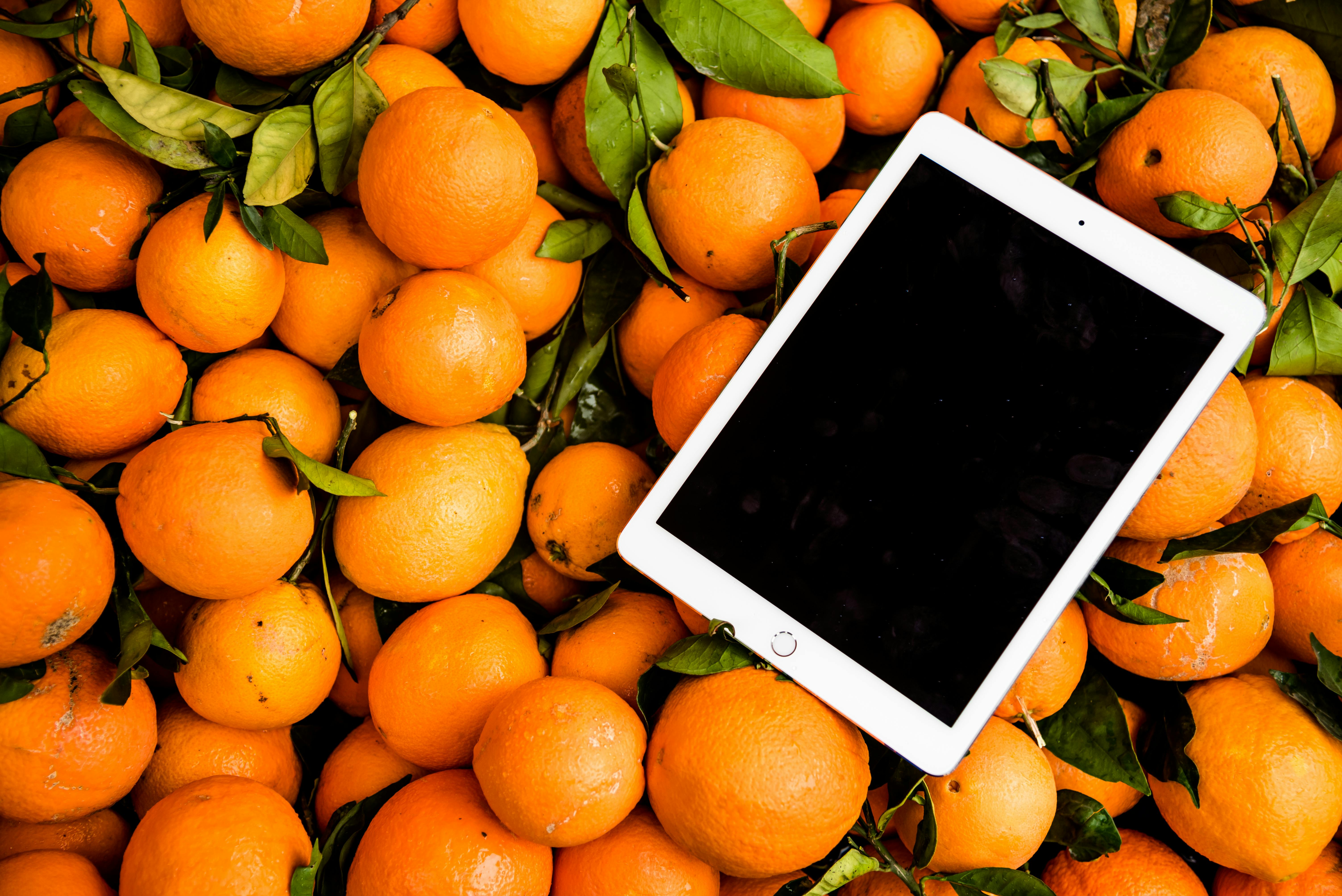 Maximizing SEO for Travel Websites: Driving Organic Traffic and Boosting Online Visibility