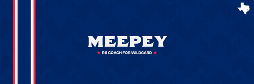 Wildcard Rainbow Six Siege